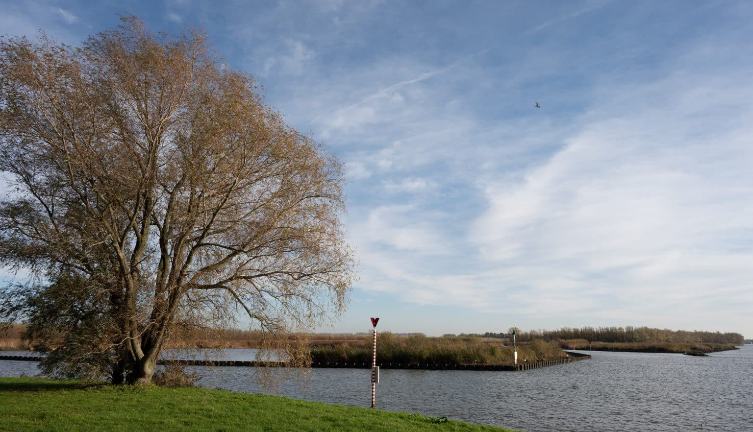 Bestuur en organisatie | Gemeente Albrandswaard