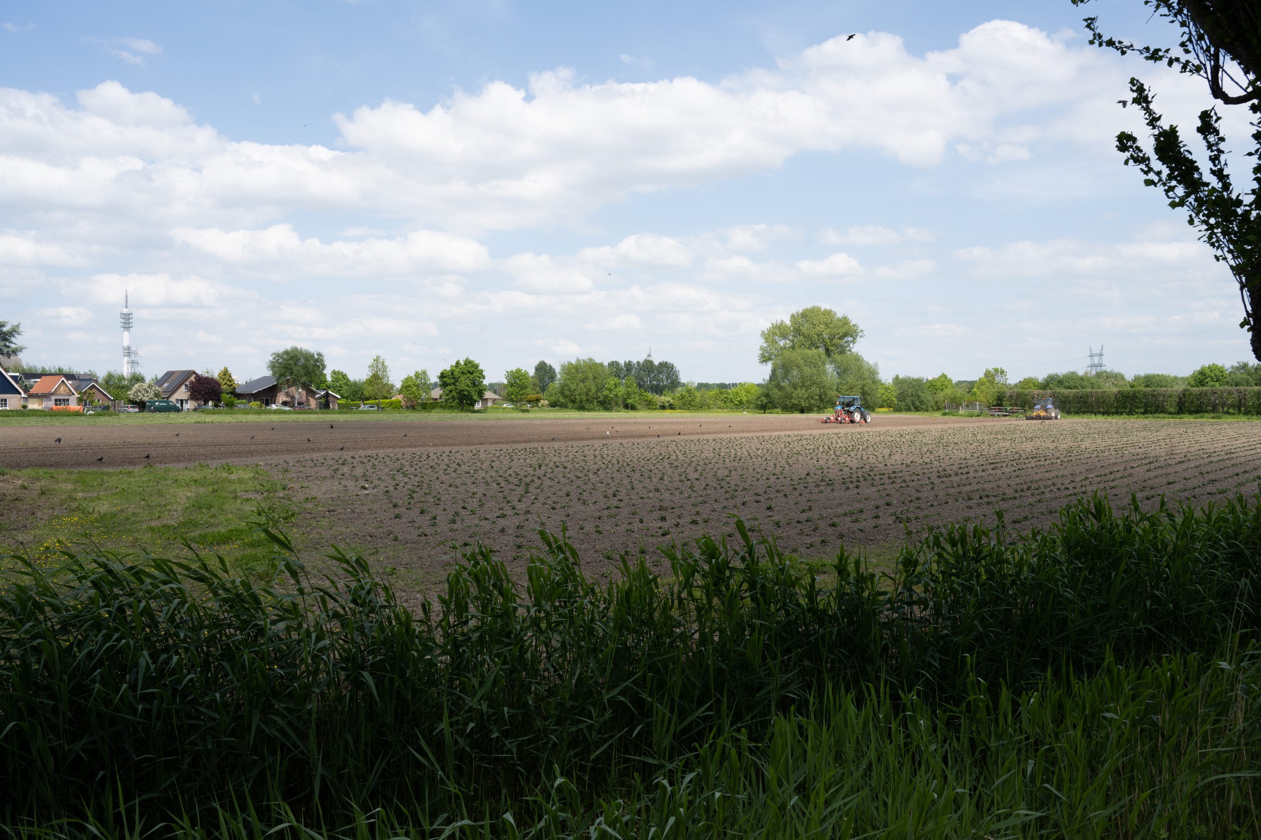 Gemeente Albrandswaard