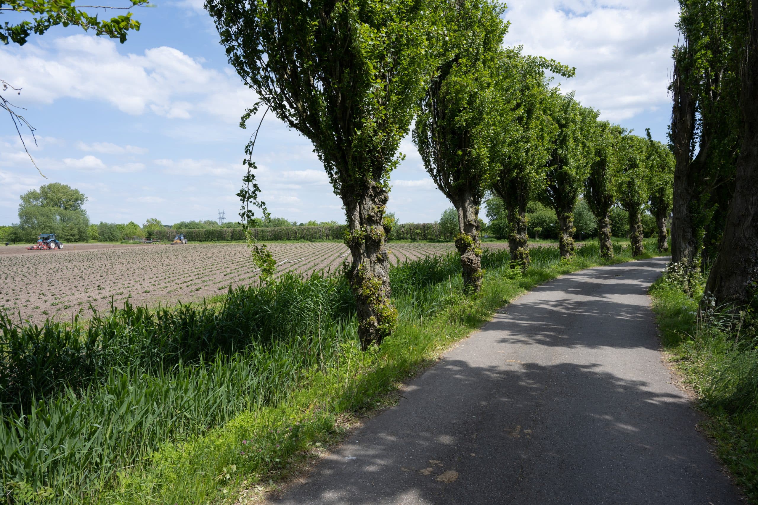 Albrandswaard: een dementievriendelijke gemeente | Gemeente Albrandswaard