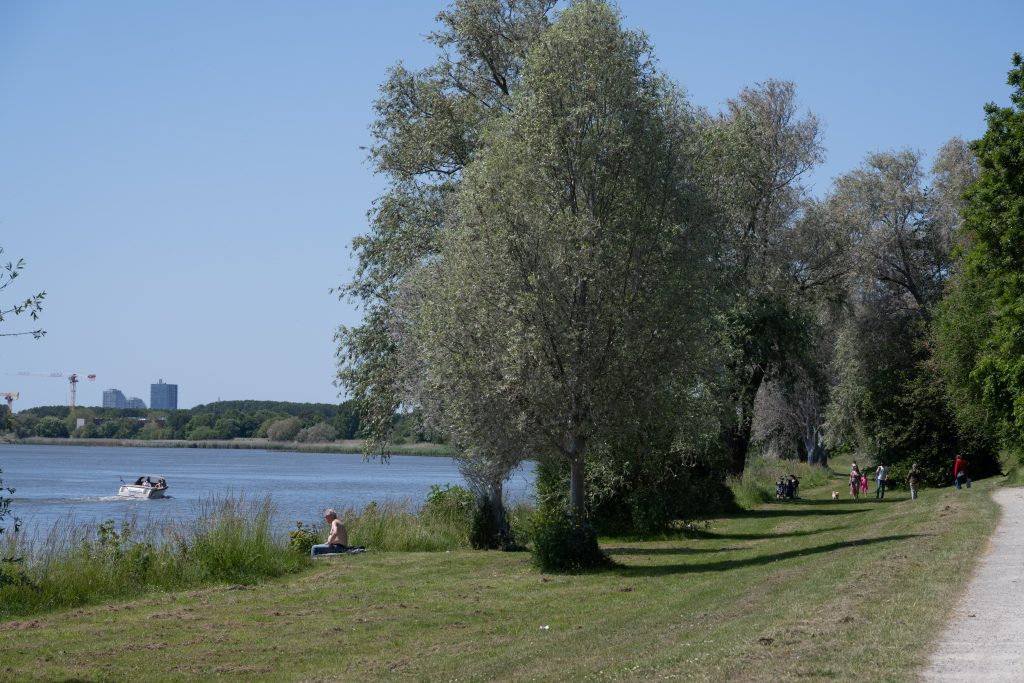Bestuur en organisatie | Gemeente Albrandswaard