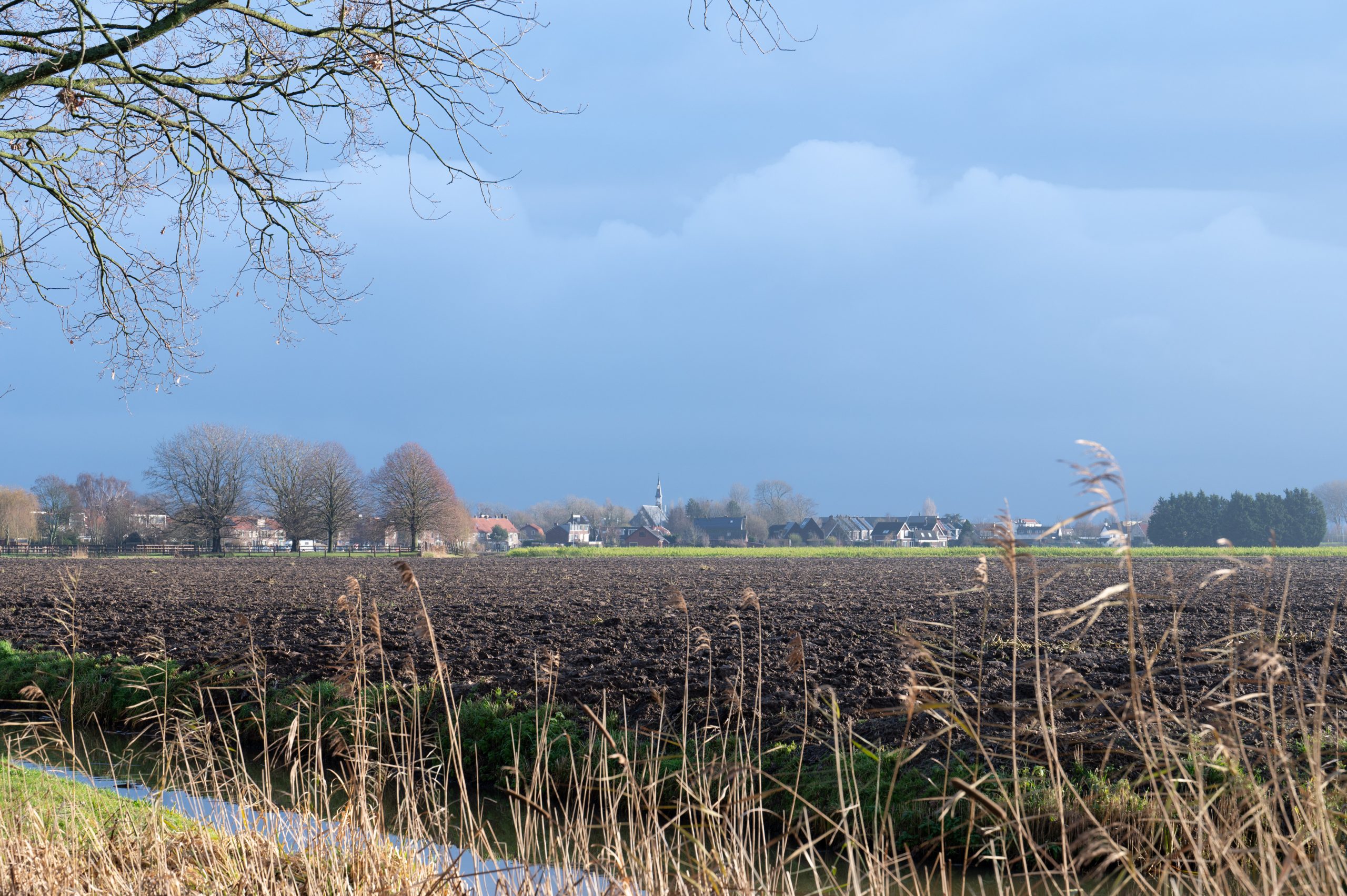 Gemeente Albrandswaard